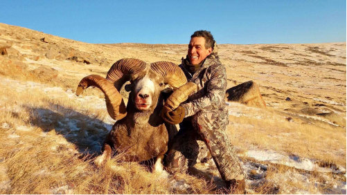 Altay Argali Hunting Program - Welcome