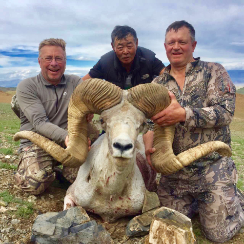 Altay Argali Hunting Program - Welcome